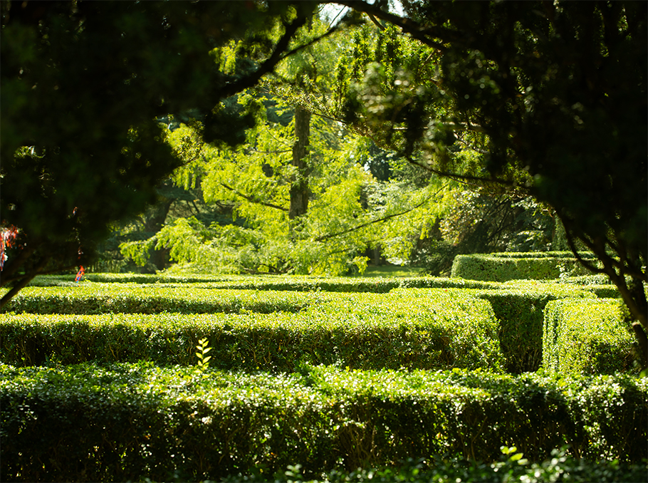 Tsinandali Festival: The triumph of music in a historic estate - Mediamax.am